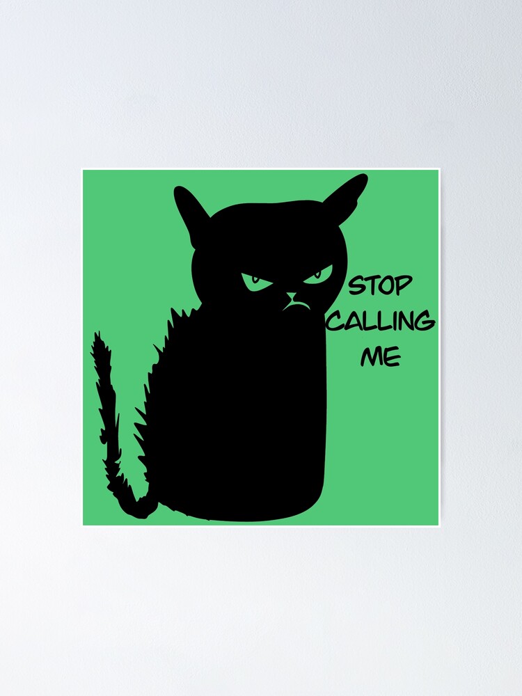 " AESTHETIC PLAYFUL ANGRY CUTE BLACK KITTEN SAYS STOP CALLING ME ...