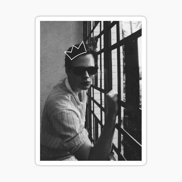 "Celebrity: Bill Skarsgard" Sticker for Sale by FoxGroves | Redbubble