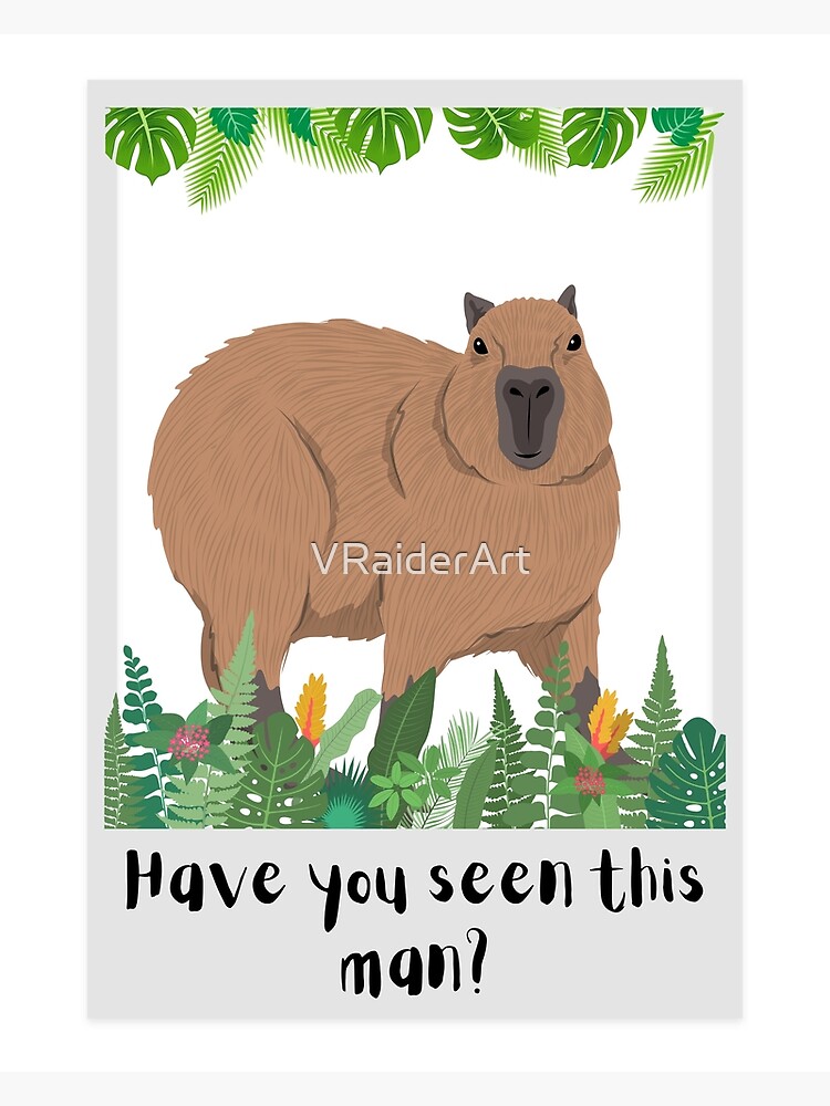 "Have you seen this Capybara " Poster for Sale by VRaiderArt | Redbubble