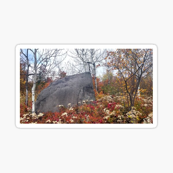 "Remnant" Sticker for Sale by Beardeaux | Redbubble