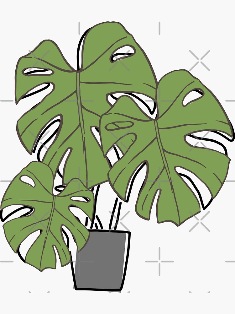 "Monstera plant" Sticker for Sale by wirka | Redbubble
