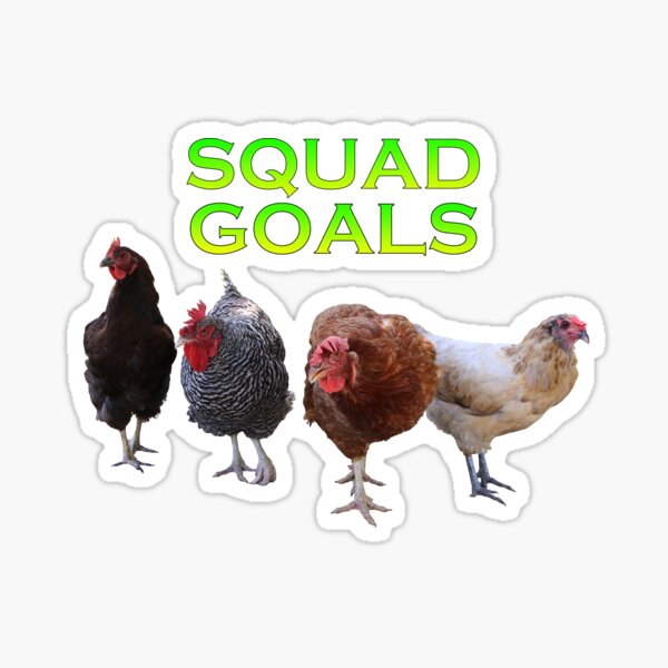 "Chicken Squad Goals" Sticker by misimichu | Redbubble