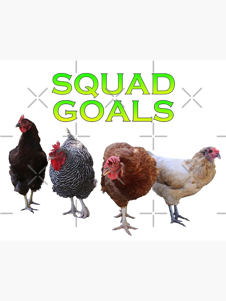 "Chicken Squad Goals" Poster for Sale by misimichu | Redbubble