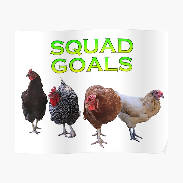 "Chicken Squad Goals" Poster for Sale by misimichu | Redbubble