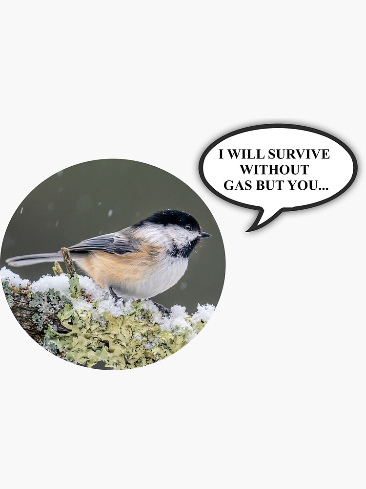 "bird & winter gas shortage" Sticker for Sale by thecoyotesofnet ...