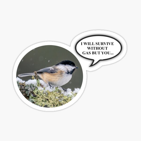 "bird & winter gas shortage" Sticker for Sale by thecoyotesofnet ...