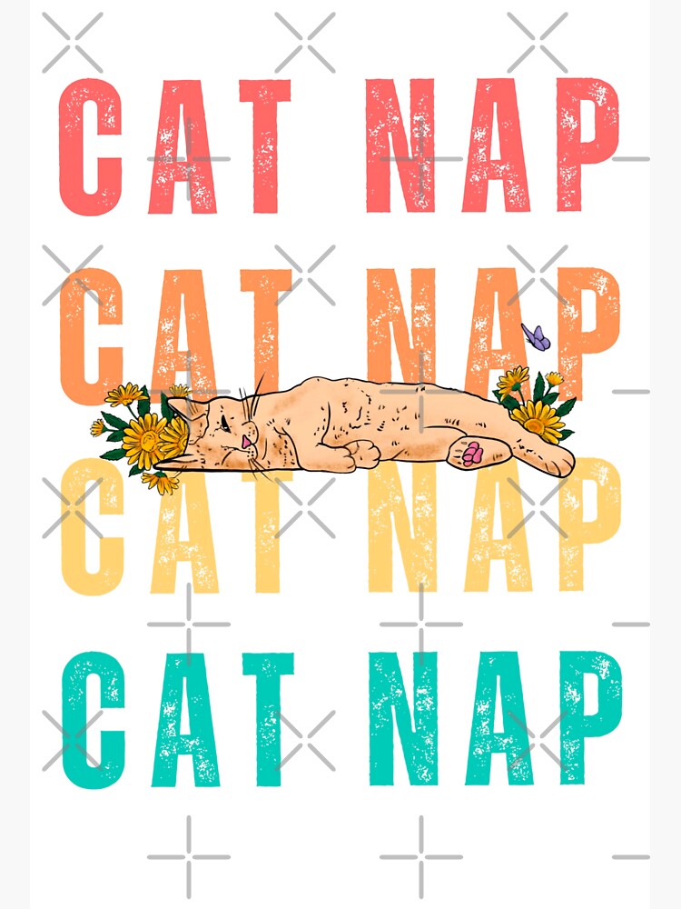 "Cat Nap" Sticker for Sale by Jesanns | Redbubble