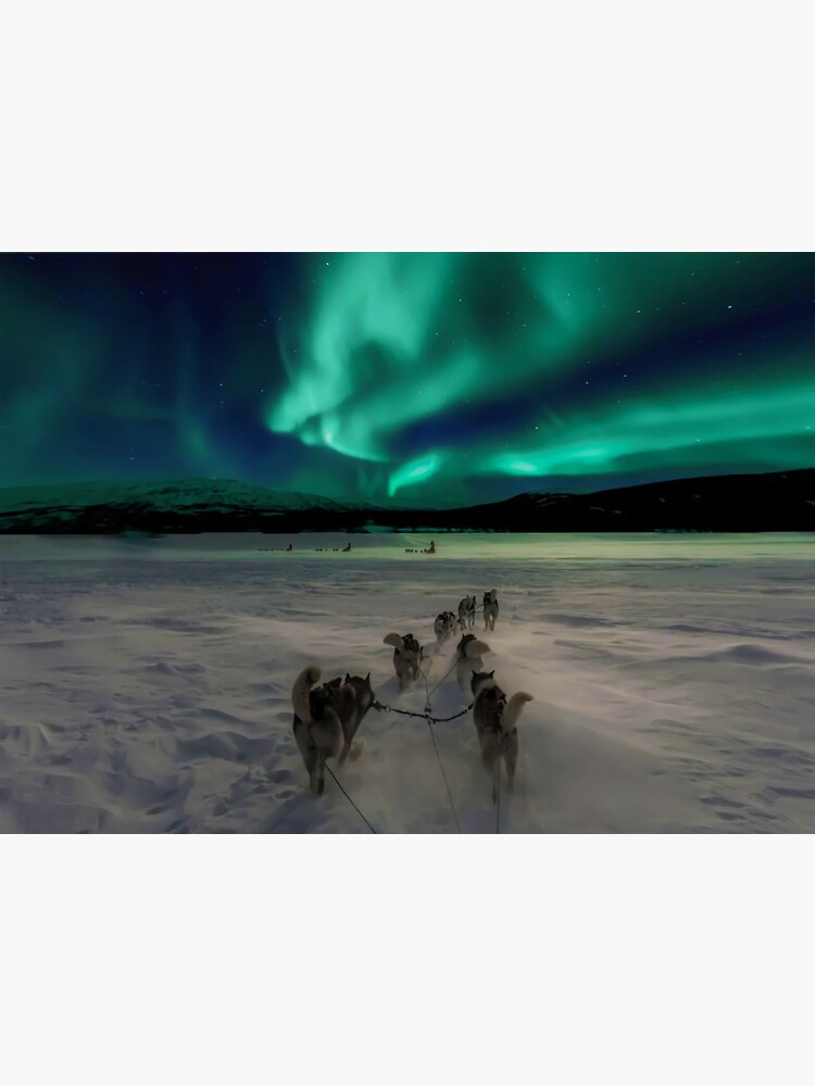 "Northern Lights Husky Dogs" Sticker for Sale by LAkaNoArts | Redbubble