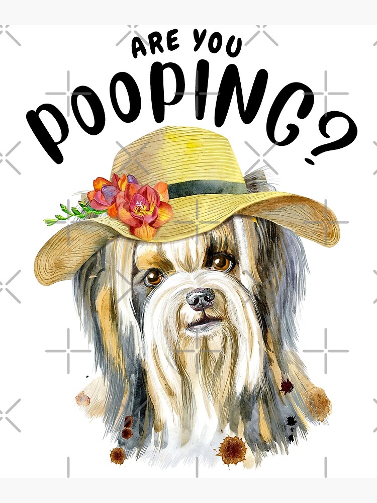 "Yorkie Are You Pooping Bathroom Print | Yorkshire Terrier Art | Yorkie ...