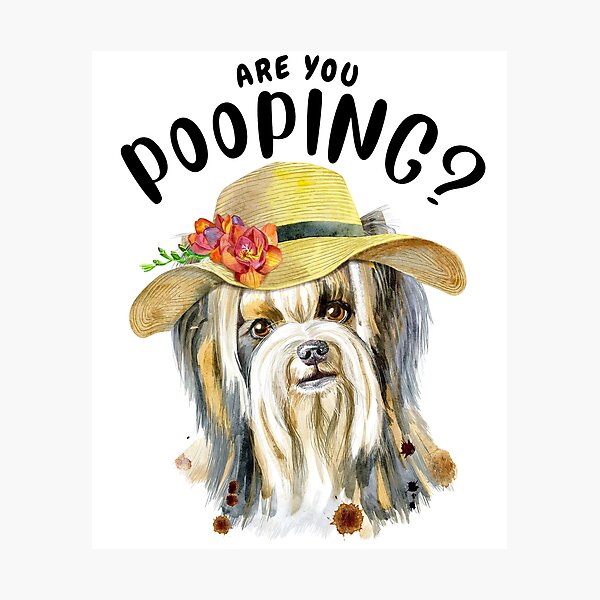 Lámina fotográfica «Yorkie es usted Pooping Baño Imprimir | Arte de ...