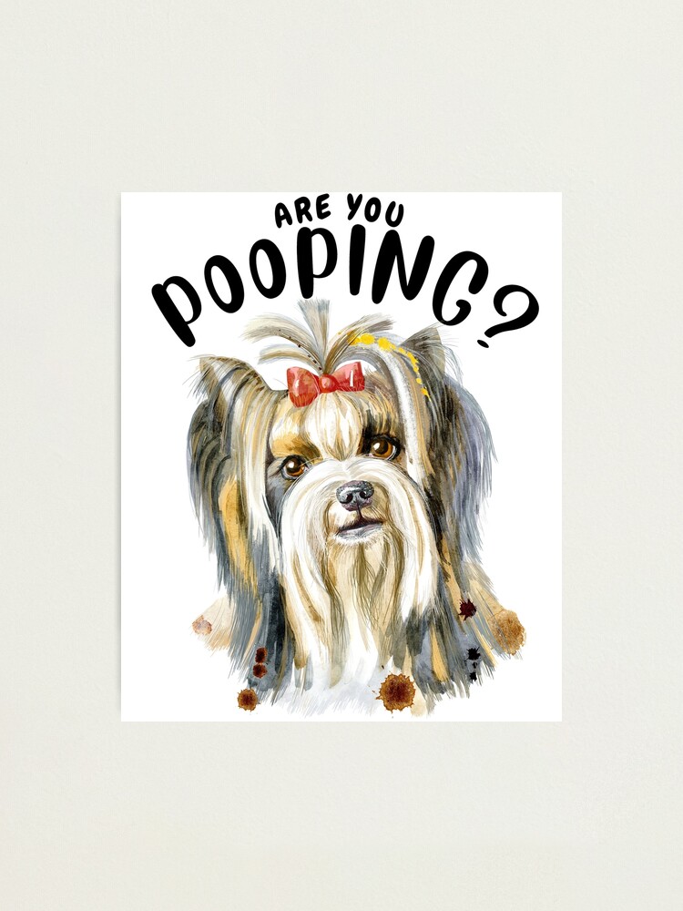 Lámina fotográfica «Yorkie es usted Pooping Baño Imprimir | Arte de ...