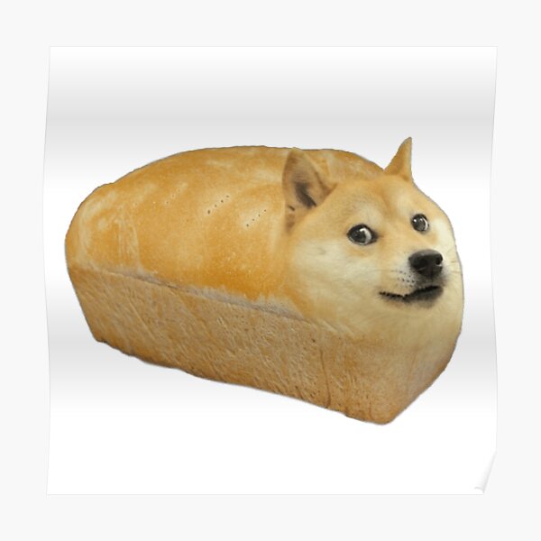 "Funny Doge Bread - Animal Memes" Poster for Sale by pusla | Redbubble