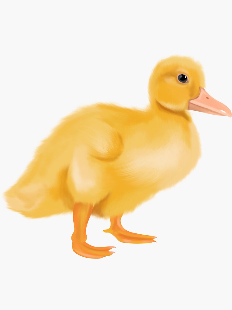 "Duckling " Sticker for Sale by Starr-fall | Redbubble