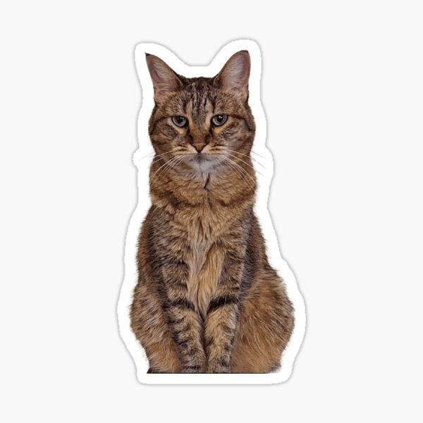 "Lelo the Magnificent" Sticker for Sale by Charlottesw3b | Redbubble