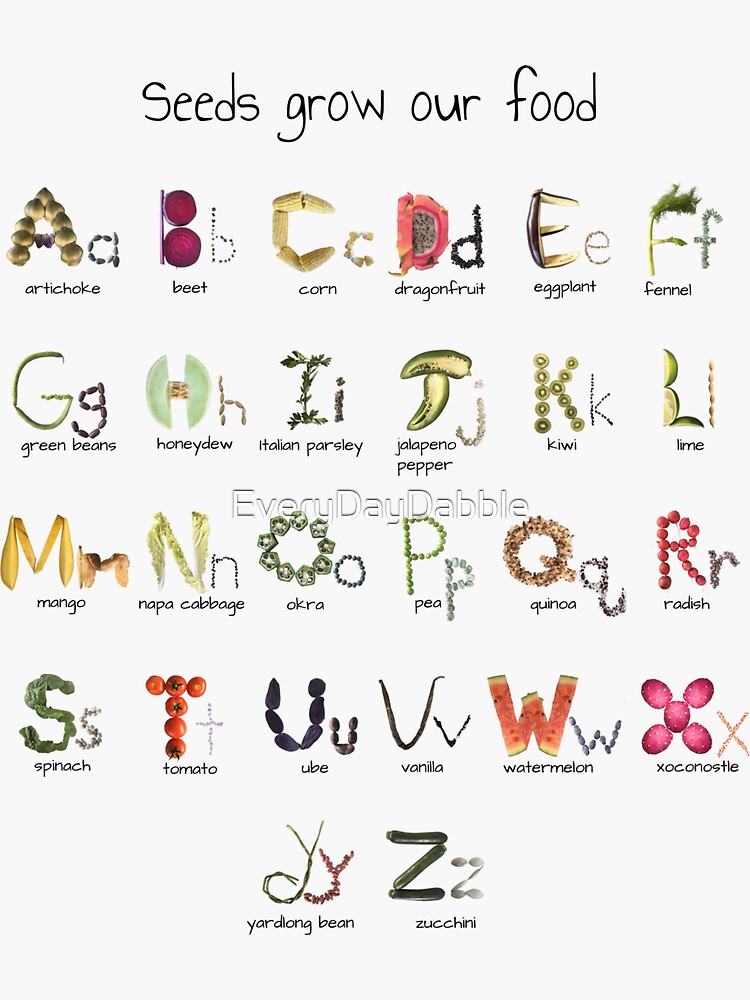 "Seeds Grow Our food Upper and lower case food letters with seeds ...