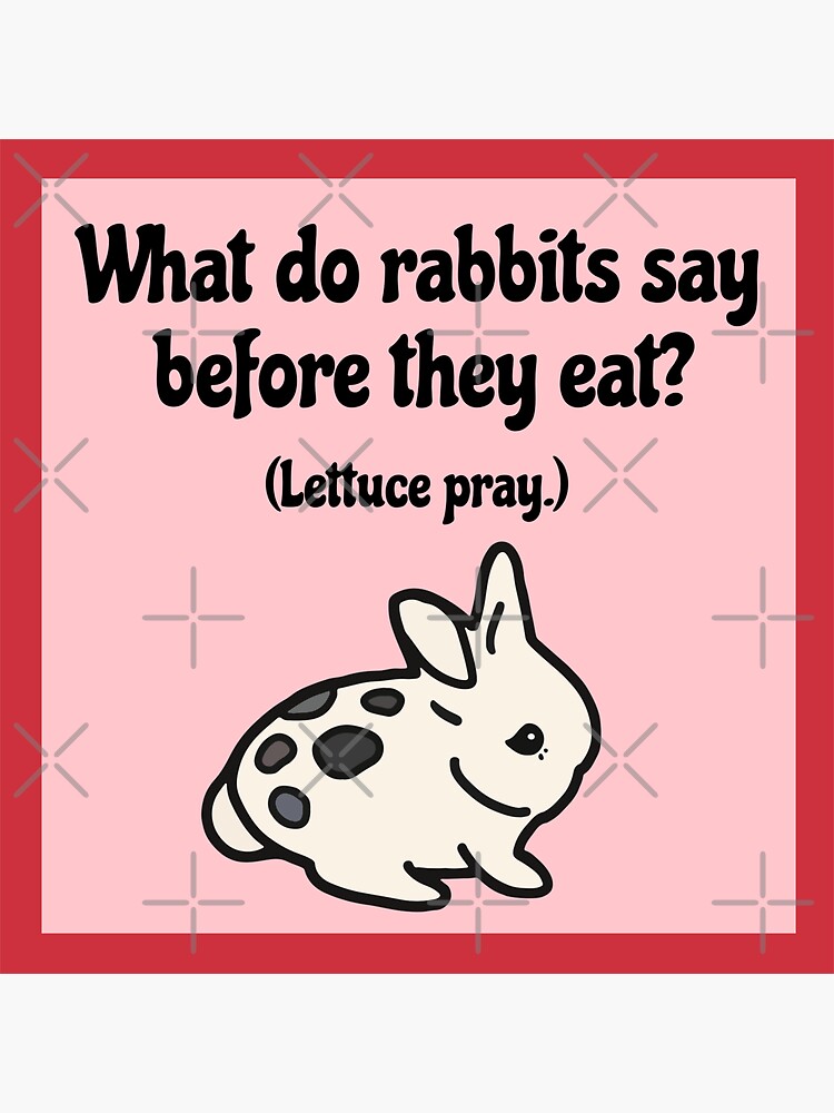 "What Do Rabbits Say Before They Eat? Let Us Pray with Cute Mini Lop ...
