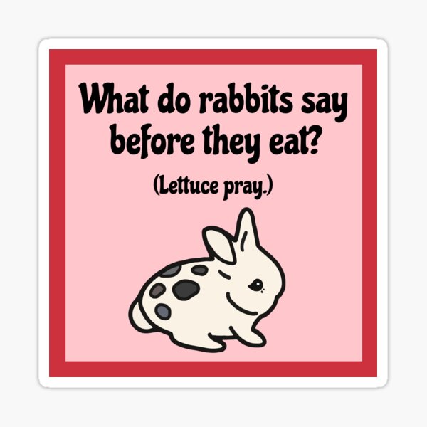 "What Do Rabbits Say Before They Eat? Let Us Pray with Cute Mini Lop ...