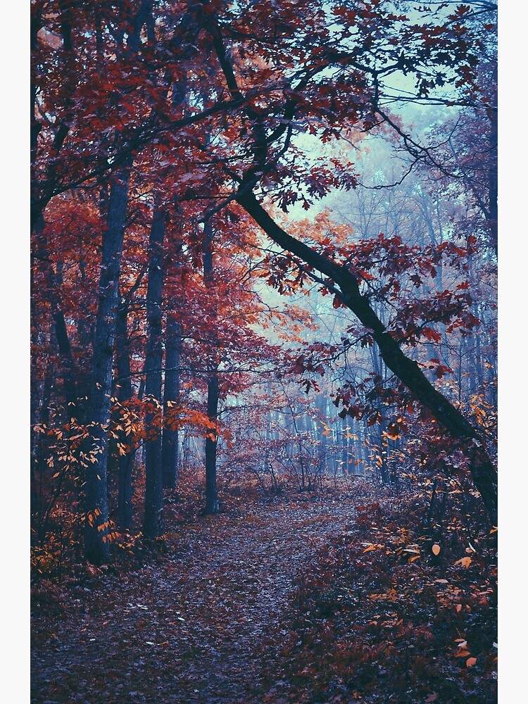 "Haunted Autumn " Art Print for Sale by showmedarkness | Redbubble