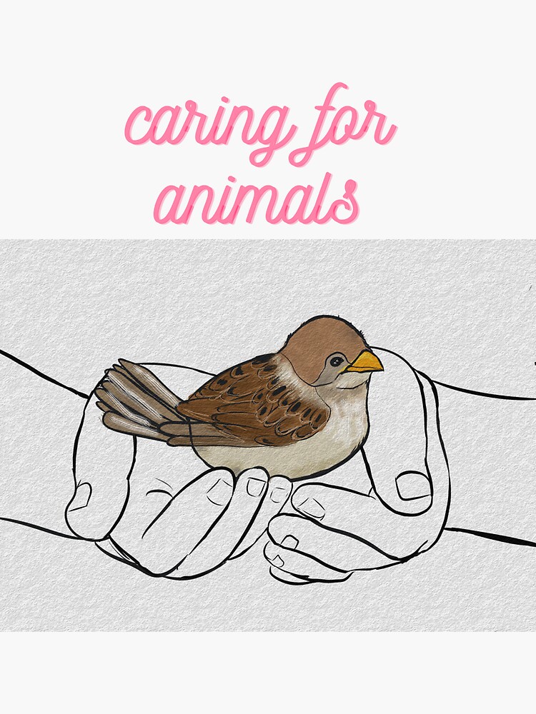 "caring for animals bird" Sticker for Sale by lufu520 | Redbubble