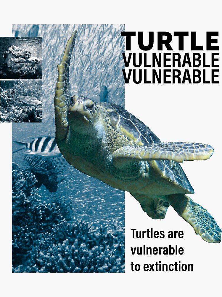 "Turtle layout" Sticker for Sale by Pwin | Redbubble