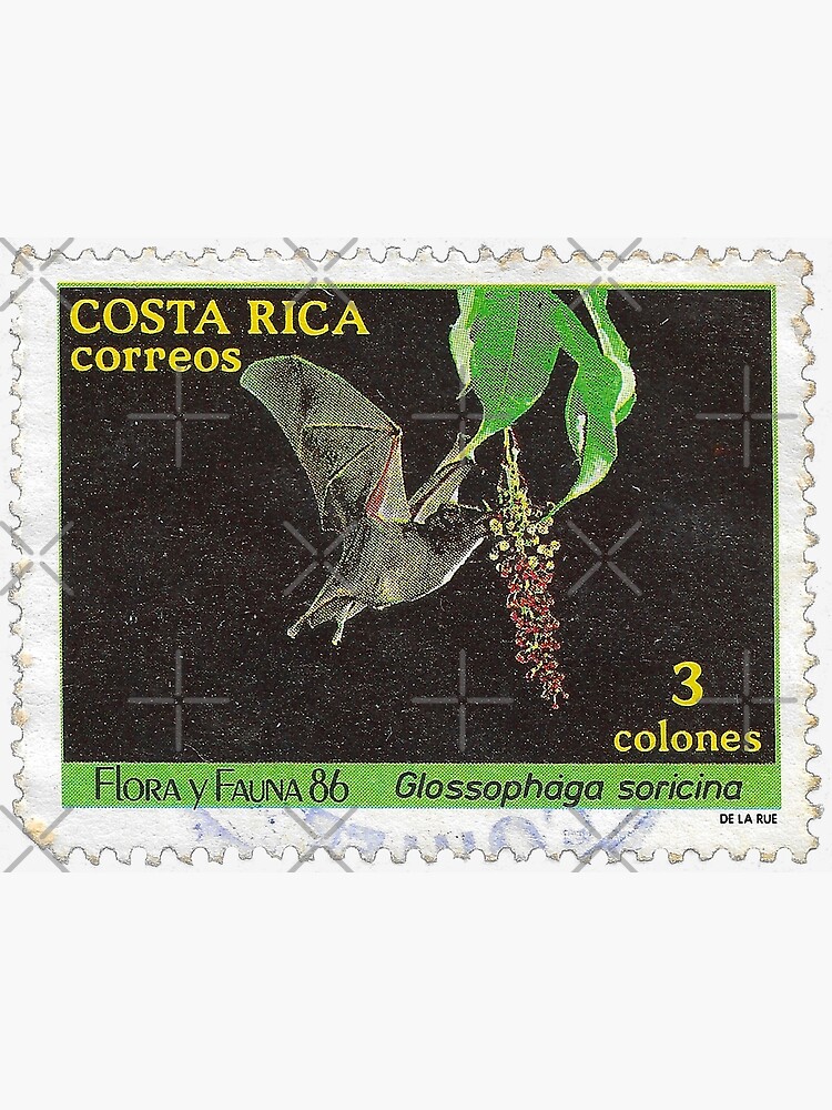"Vintage 1986 Costa Rica Flora y Fauna Stamp" Art Print for Sale by ...