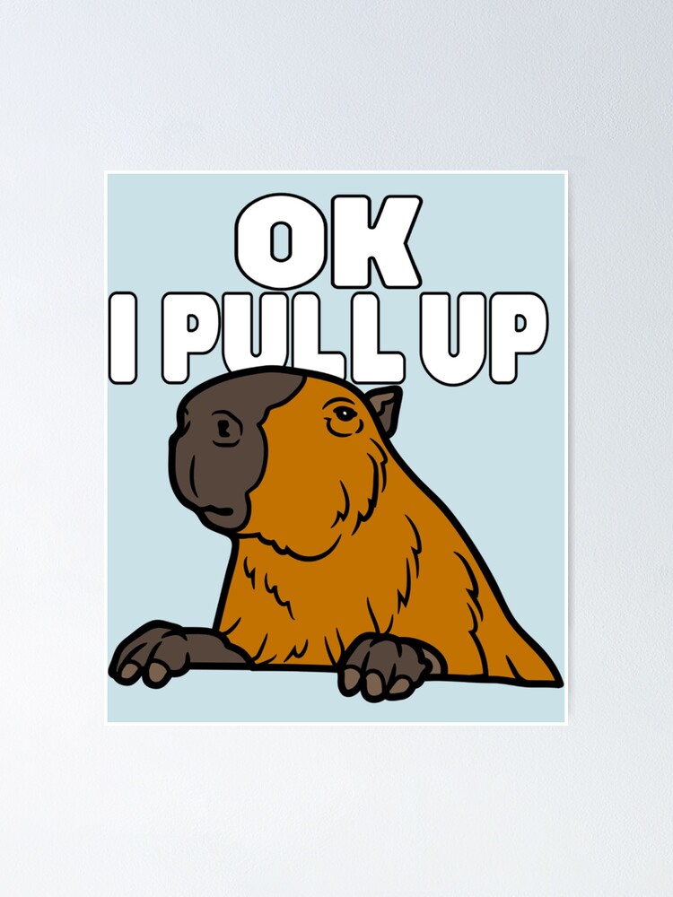Ok I Pull Up Capybara Cartoon : Capybara Ok He Pull Up GIF – KYDS