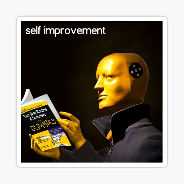 "dummy - self improvement" Sticker for Sale by ACGoN | Redbubble