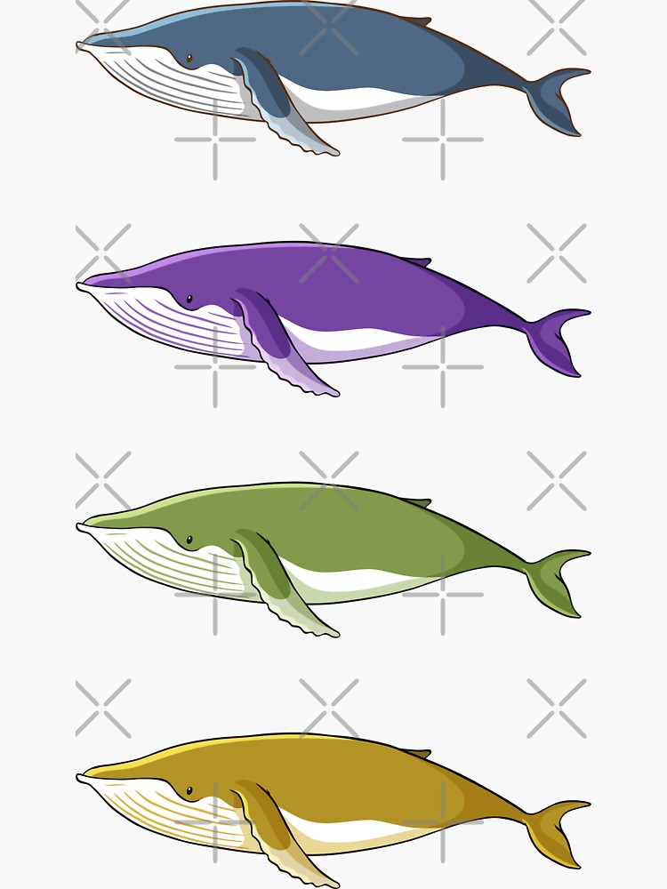 "whale sticker set" Sticker for Sale by Animster | Redbubble