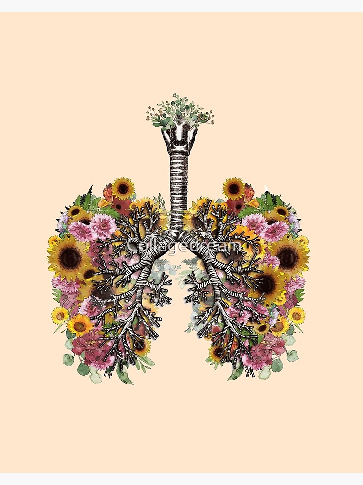 "Breathe, respiratory therapist, lungs with watercolr sunflowers and ...