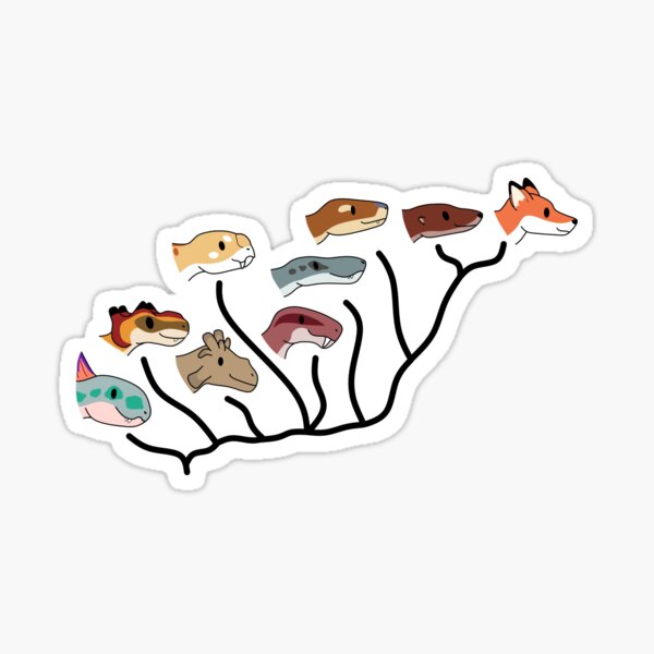"Synapsid family tree" Sticker for Sale by SavannahSciArt | Redbubble