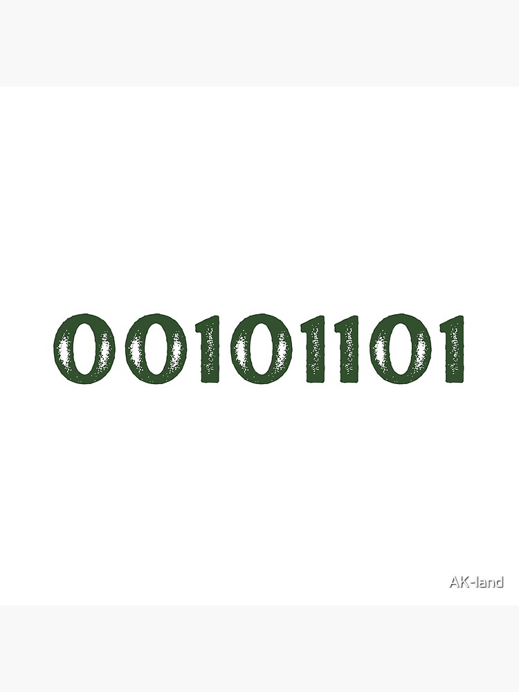 00101101 Binary Numeration System Poster For Sale By Ak Land Redbubble