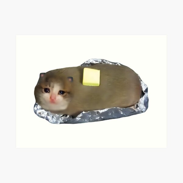 "Baked Sweet Potato Cat Cursed Crying with Butter Meme" Art Print for ...
