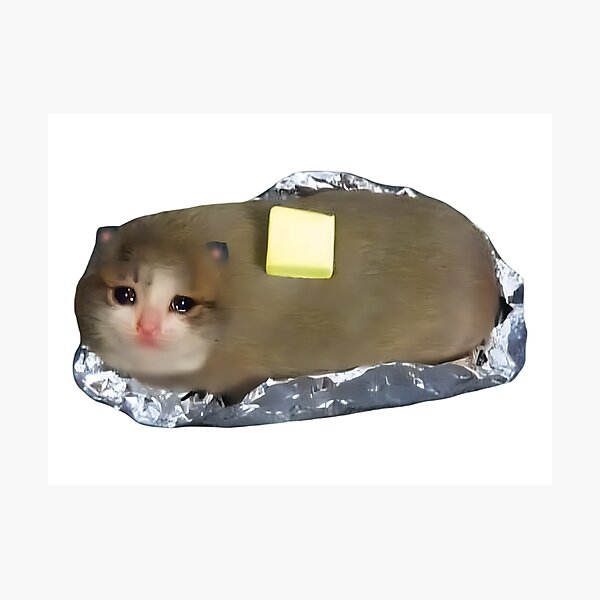 "Baked Sweet Potato Cat Cursed Crying with Butter Meme" Photographic ...