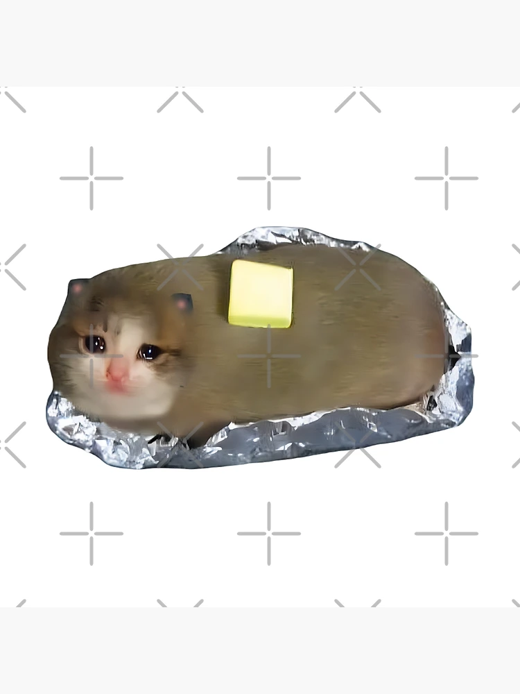 Potato Cat Memes Watch: Adorable Cat Gets To Lick A Potato Chip Once A