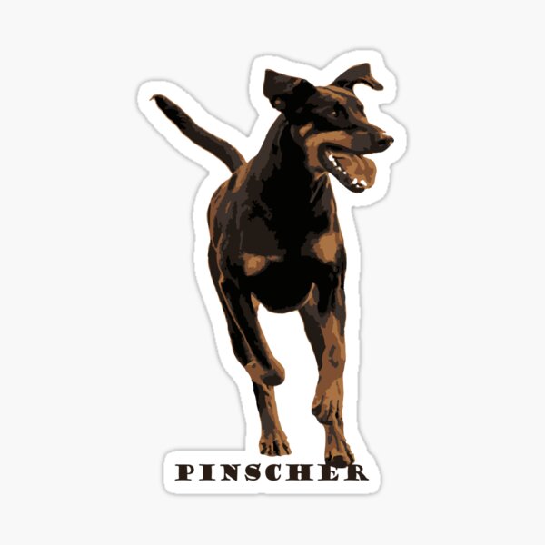 "Pinscher in Action: Colour Logo" Sticker for Sale by AliusImago ...
