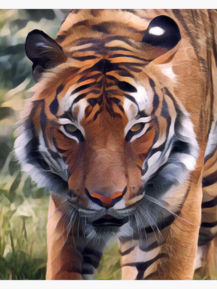 "Tiger predator painting theme" Sticker for Sale by TShirtMaxShop ...