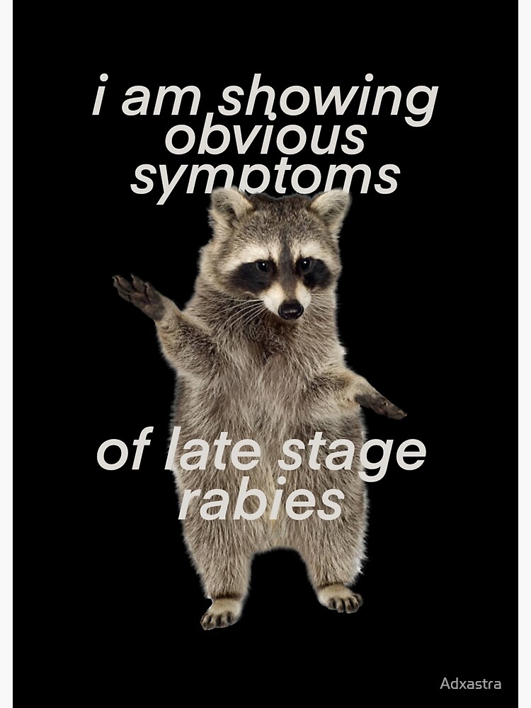 "I Have Rabies Raccoon" Poster for Sale by Adxastra | Redbubble