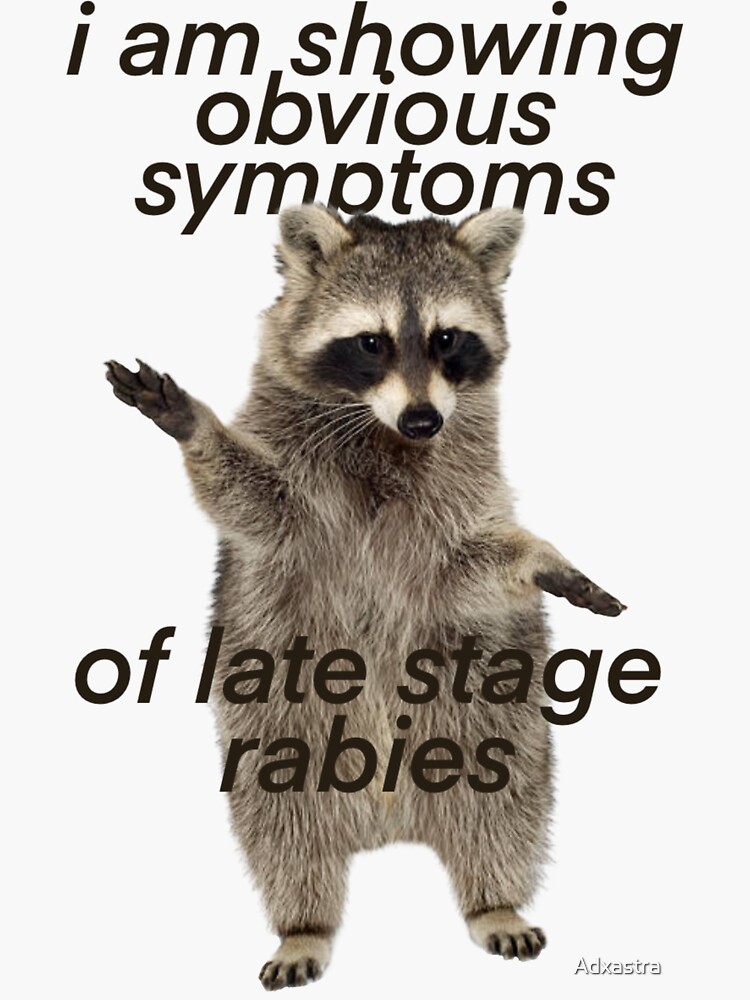 "I Have Rabies Raccoon" Sticker for Sale by Adxastra | Redbubble