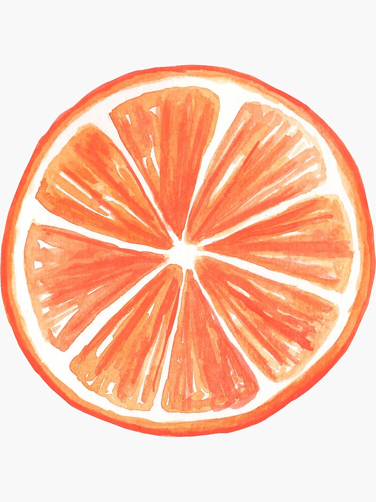 "Watercolor Orange Slice Clip Art Citrus Fruit Design" Sticker for Sale ...