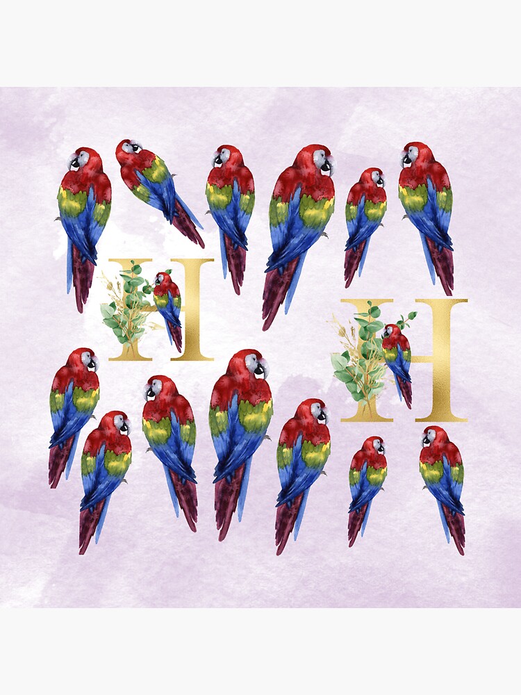 "H letter with Macaw" Sticker for Sale by Bellemolly | Redbubble