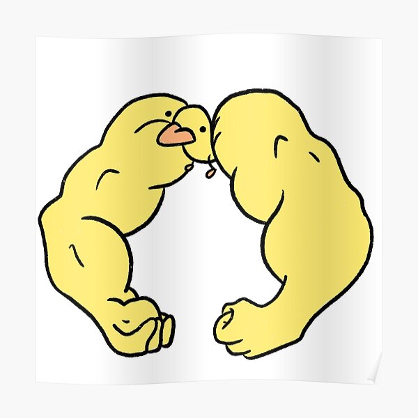 "BUFF DUCK" Poster for Sale by Isaac Williams | Redbubble