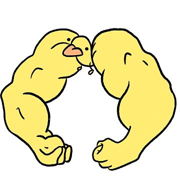 "BUFF DUCK" Poster for Sale by cmxcrunch | Redbubble