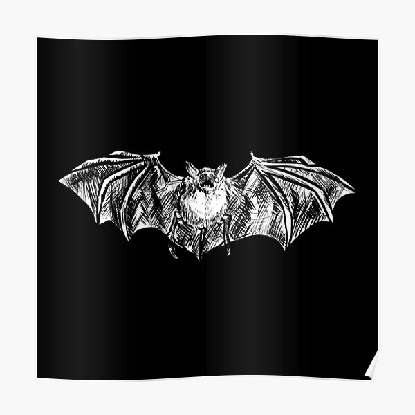 "Dark Vampire Bat" Poster for Sale by VampireBat | Redbubble