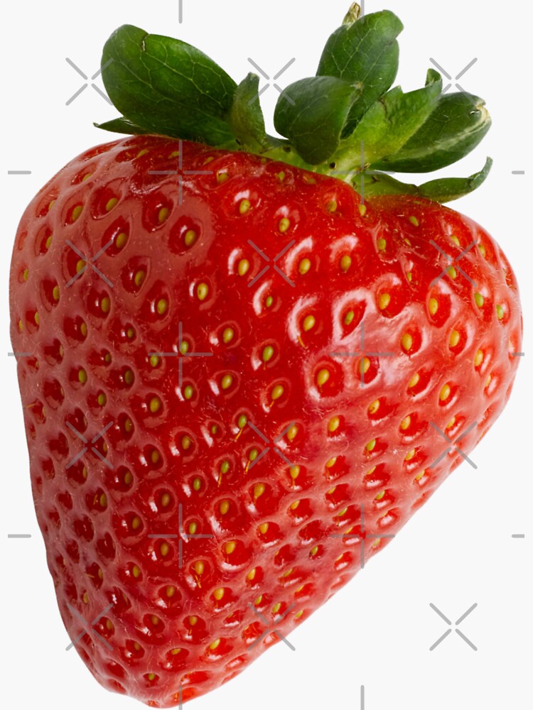 "Strawberry: An Aggregate Accessory Fruit" Sticker for Sale by Pop-Pop ...