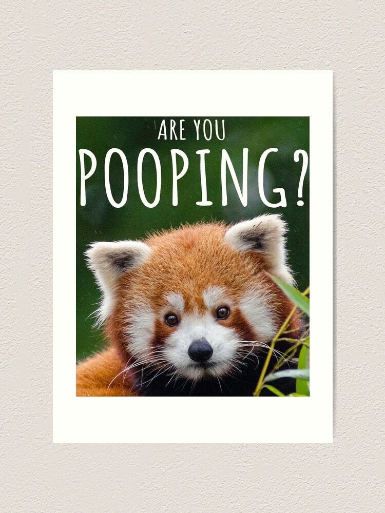 "Red Panda Saying Are you Pooping?" Art Print for Sale by PositiveEdge ...
