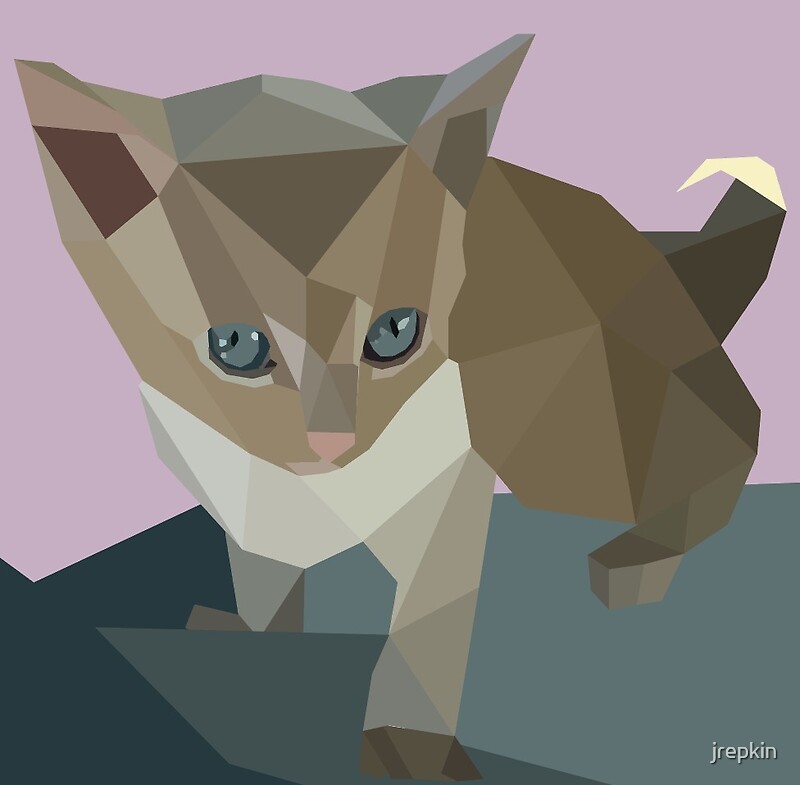 "Geo Kitten" by jrepkin | Redbubble