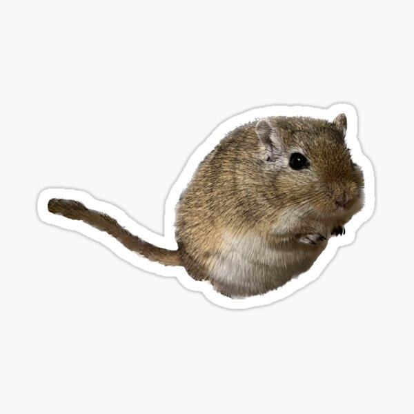 "My Brown Gerbil Named Rex & His Tail" Sticker for Sale by GreasyGerbil ...