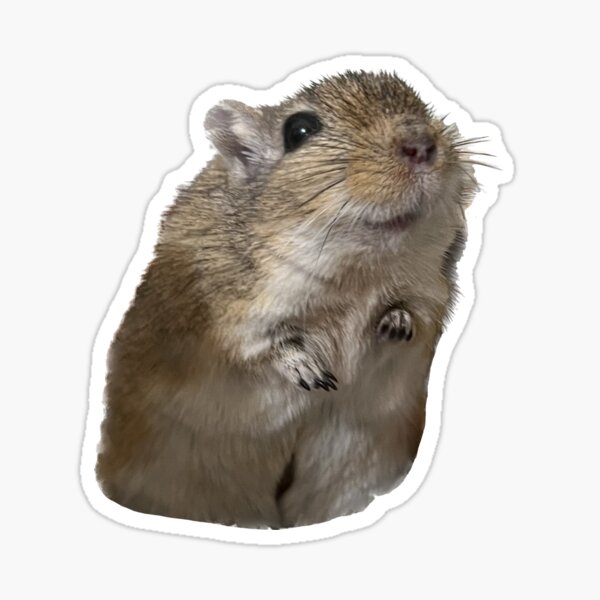 "My Brown Gerbil Named Rex" Sticker for Sale by GreasyGerbil | Redbubble