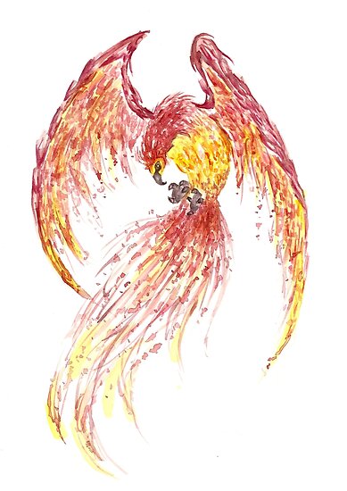 Fawkes The Phoenix