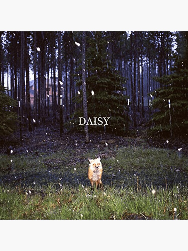 "Daisy album natural scene" Sticker for Sale by FranzJosebg | Redbubble